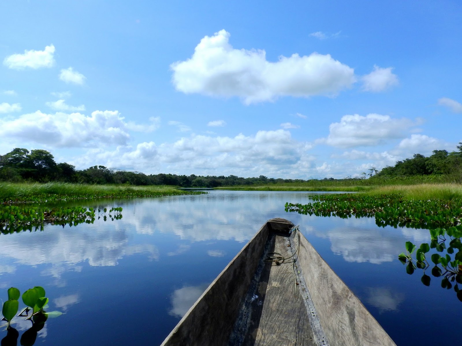 San José Del Guaviare Tour 1 | Colombia Travel and Tours